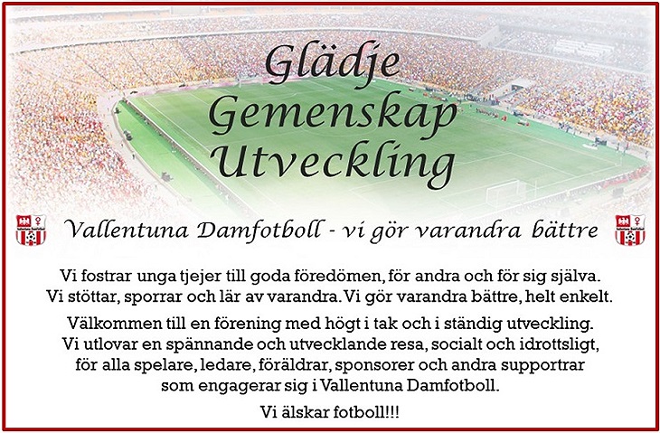 Vallentuna Fotboll - F19